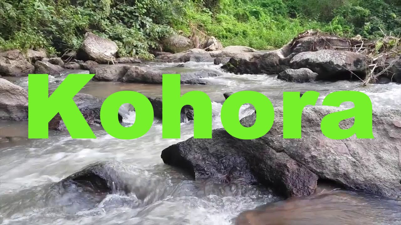 Kohora near Kaziranga National Park, Assam - YouTube