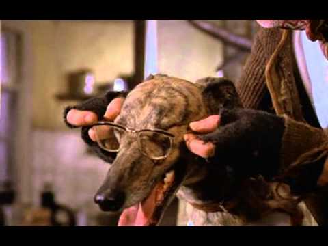 Steptoe And Son Ride Again The Blind Greyhound