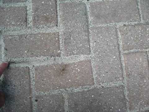 MVI 2281 Polymeric Sand HP Southern Gray - YouTube