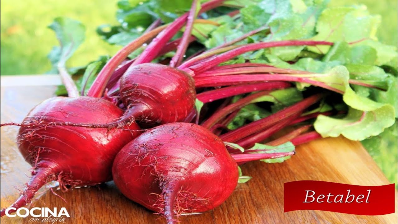 Cómo se conoce al betabel en hispanoamérica | Cocina con Alegría - YouTube
