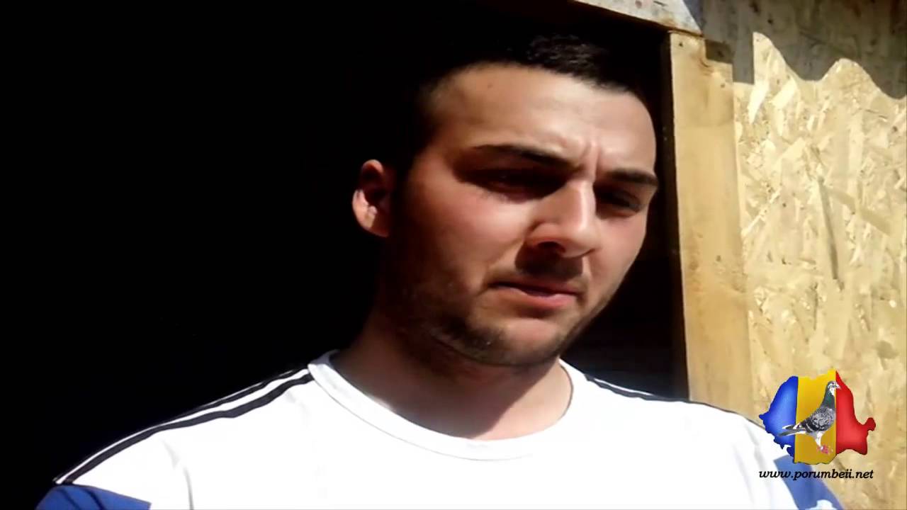 www.porumbeii.net Interviu Oancea Bogdan - YouTube