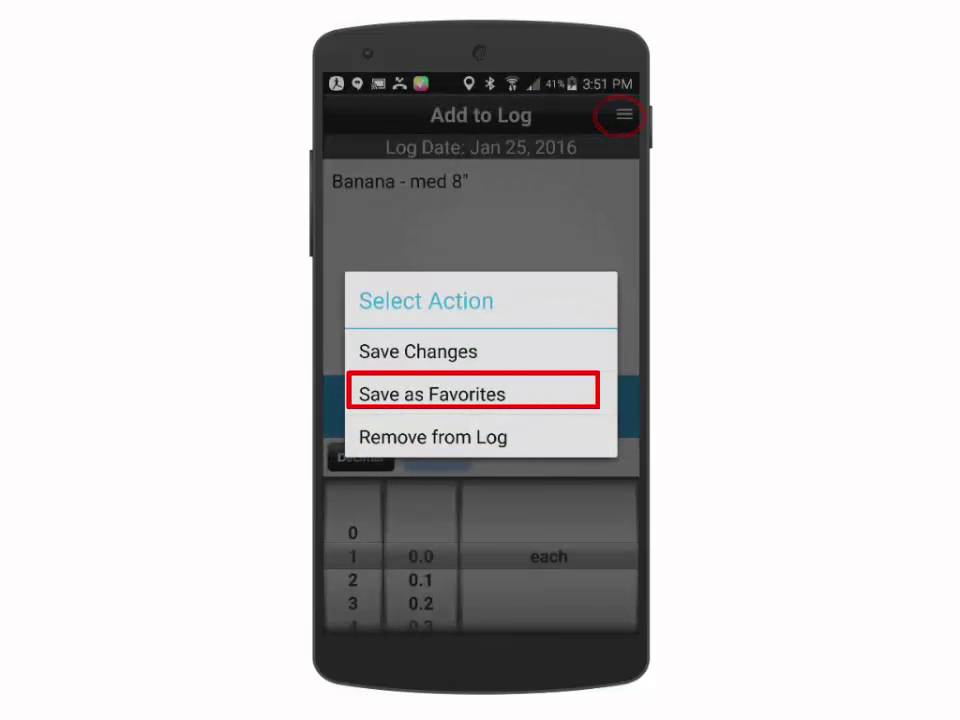 DietMaster Go Mobile App Intro 2016 - YouTube
