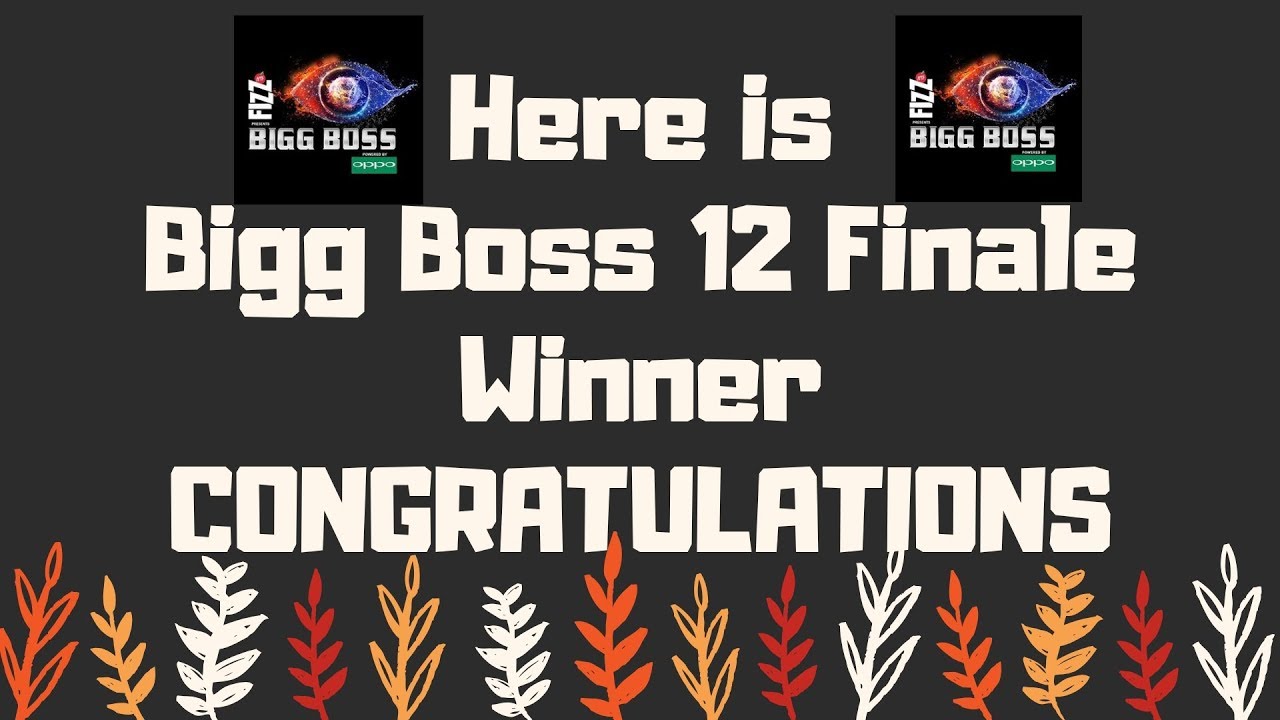 Bigg Boss 12 Winner Dipika Kakar won Cash Prize and more | Salman Khan ...