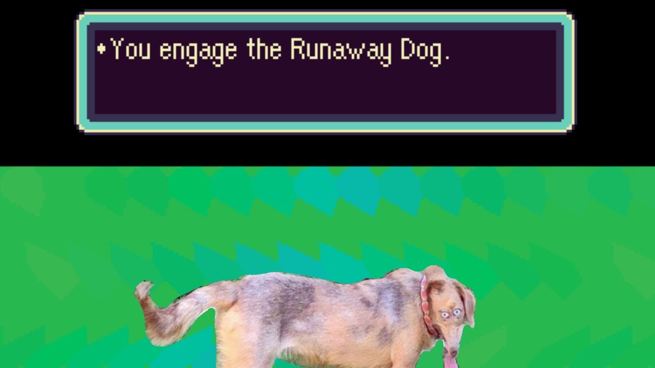 Panoramic Dogs to Earthbound Music - YouTube