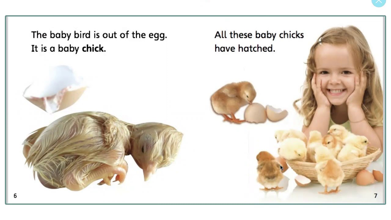 Who is Hatching? - YouTube