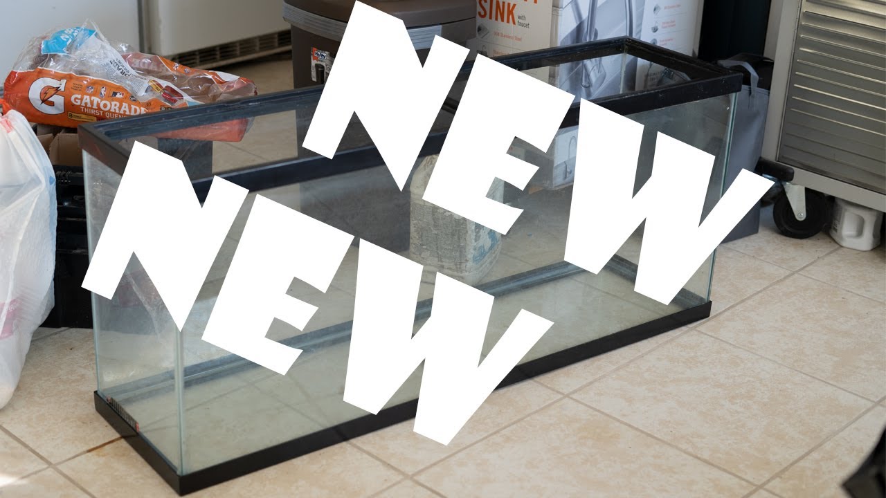 New Fish Tank Series! Ep. 01 Intro! - YouTube