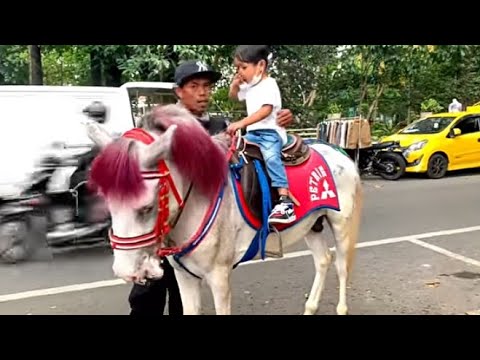 kuda | kuda putih cantik | kuda rambut pink | lagu populer naik delman ...