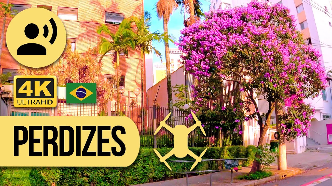 Conheça Perdizes, veja o Allianz Parque e ouça o canto das perdizes ...