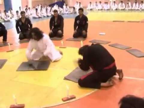 Videos from Nearu Martial Art Grand master Amir Lotfi punching iron ...