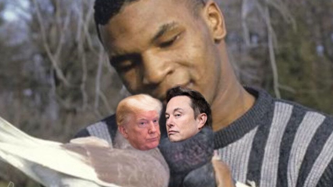 Breaking News on Trump and Elon feud ending with a handshake! - YouTube