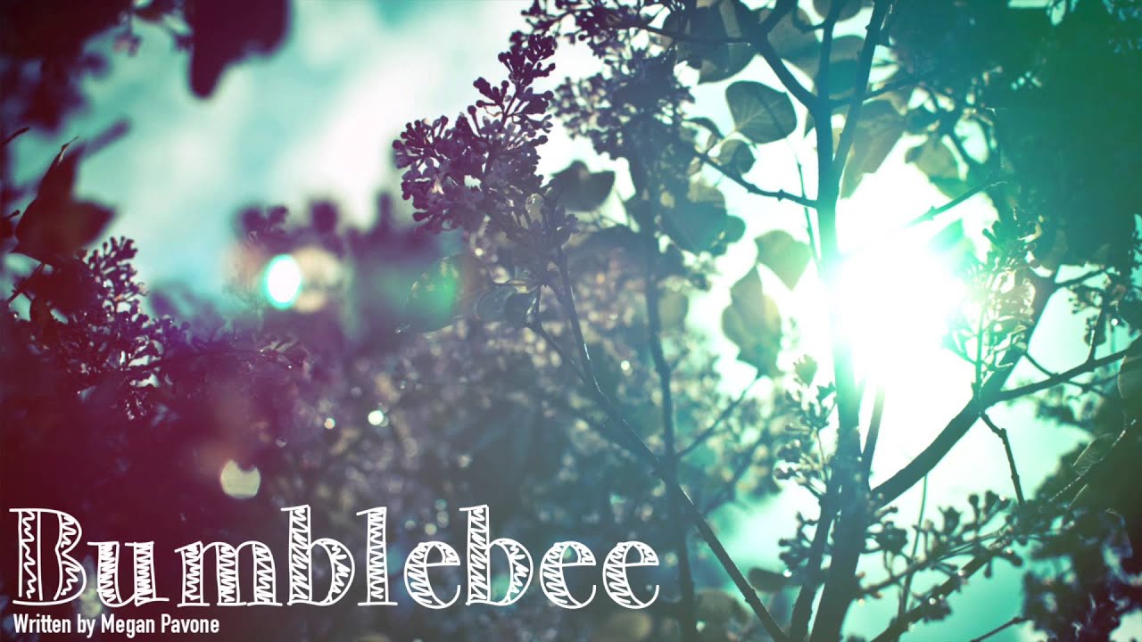 Megan Pavone - Bumblebee (Original Song) - YouTube