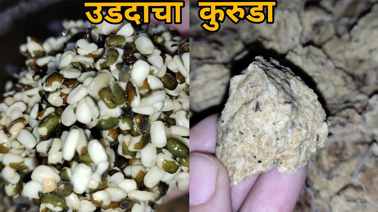 urdacha kuruda/ पारंपारिक पद्धतीने बनवा उडिदाचा कुरुडा / उडिद डाळीचे ...