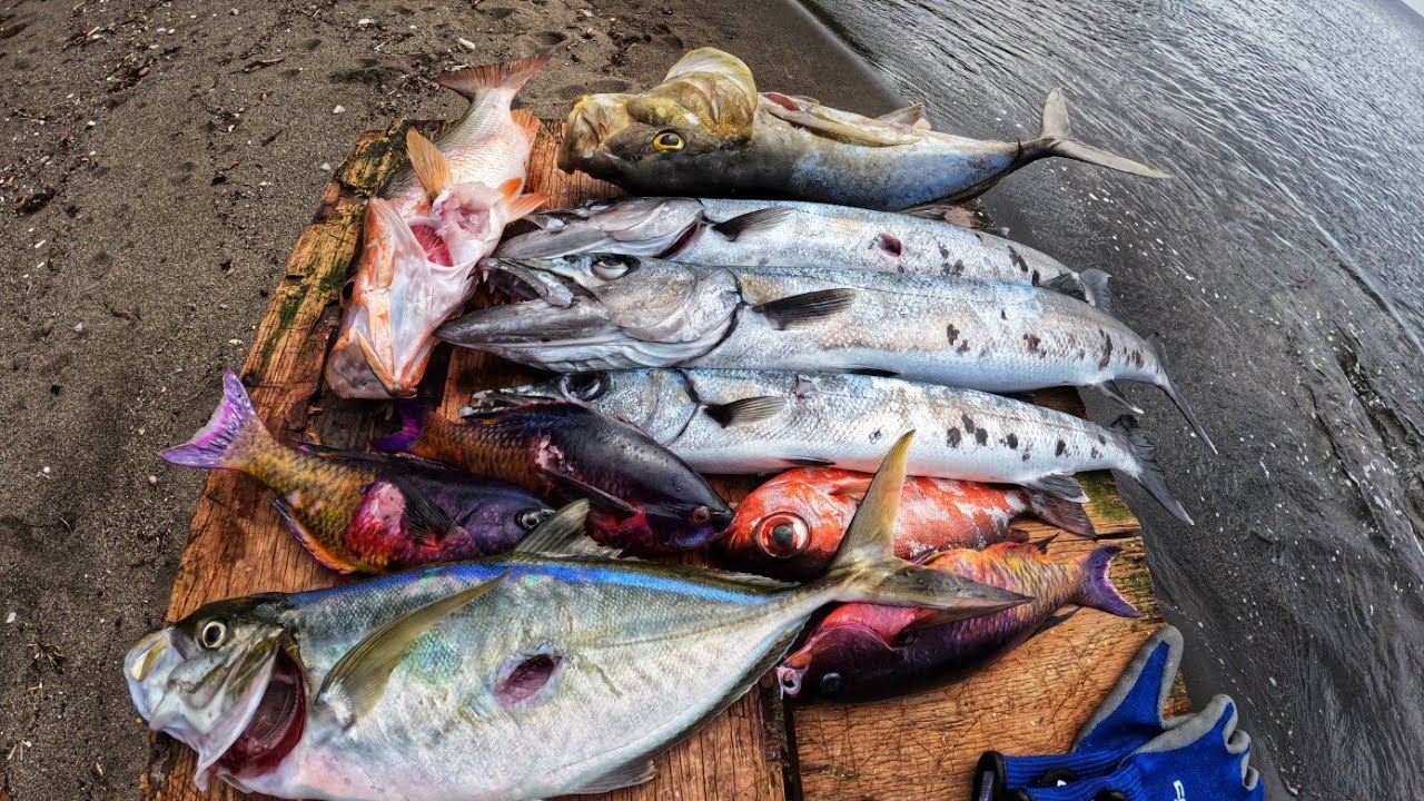 This is what 2 hours of spearfishing gives you in St.Vincent #caribbean ...