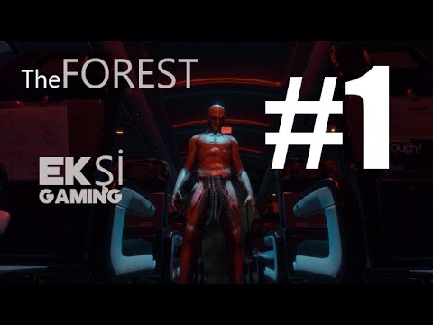 The Forest Bölüm #1 Küçük Başlangıç