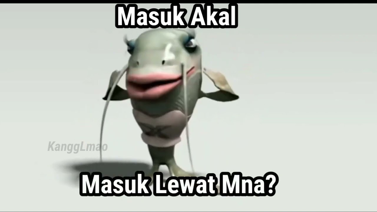 Meme Ikan lele joget - YouTube
