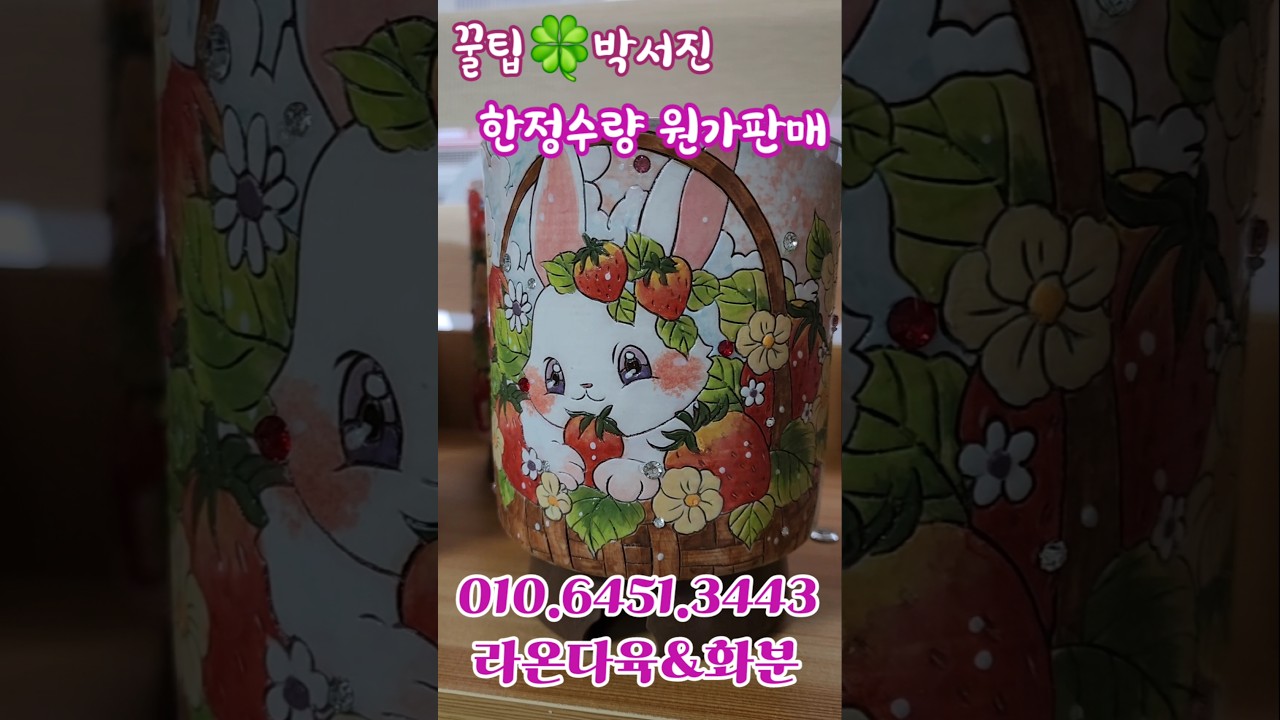출시기념 한정수량 판매특가 드레빗 꿀팁 수제화분 신상 명품화분 드앨리스 달콤한총각다육 라온다육 Shorts