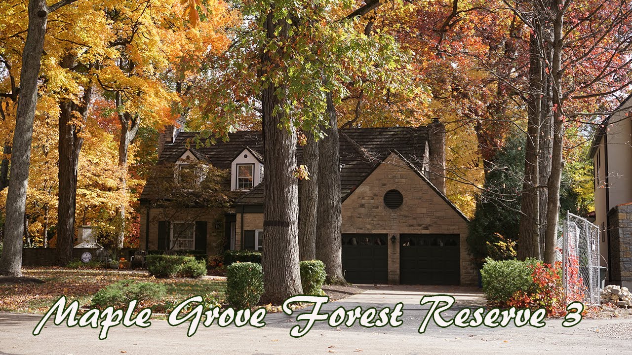 Vlog Maple Grove Forest Reserve 3, walking to rich neighborhood in the ...