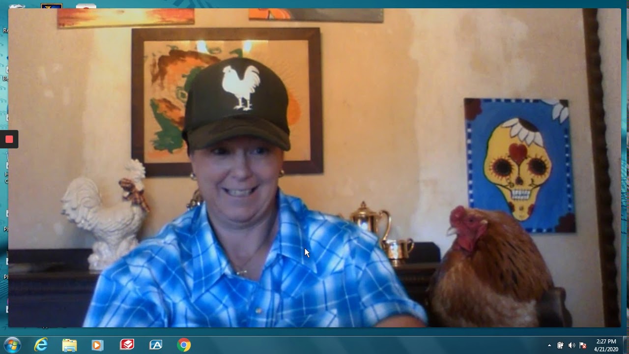 My Life as a Chicken with Kim Beckett - YouTube