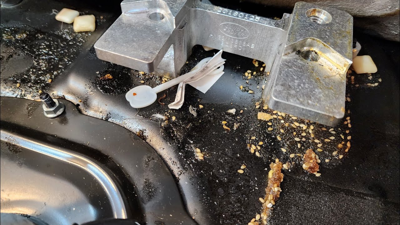 세차이야기 218편 중고차량 구입후 시트탈거하는 토탈스팀딥크리닝을 권장하는 이유 스팀보이초량점 중고구입차량 이미 오염이 숨어있다 바른양심 세차위생관리 특수실내