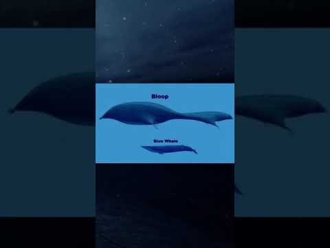 Mysterious Deep Underwater Sound Thought To Came From An Unknown ...