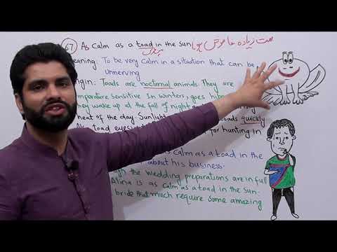 As Calm As Toad In The Sun idiom | Meaning | Origin | Examples | Idioms ...