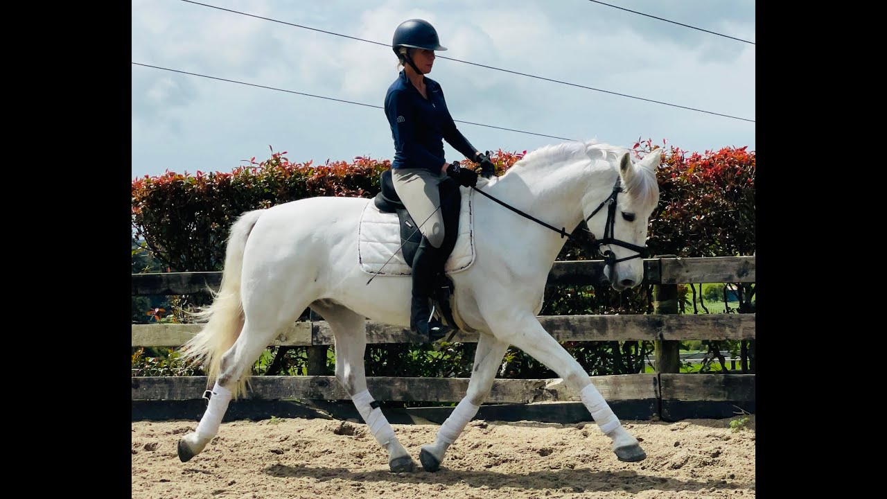 Hanna Alejandro - YouTube