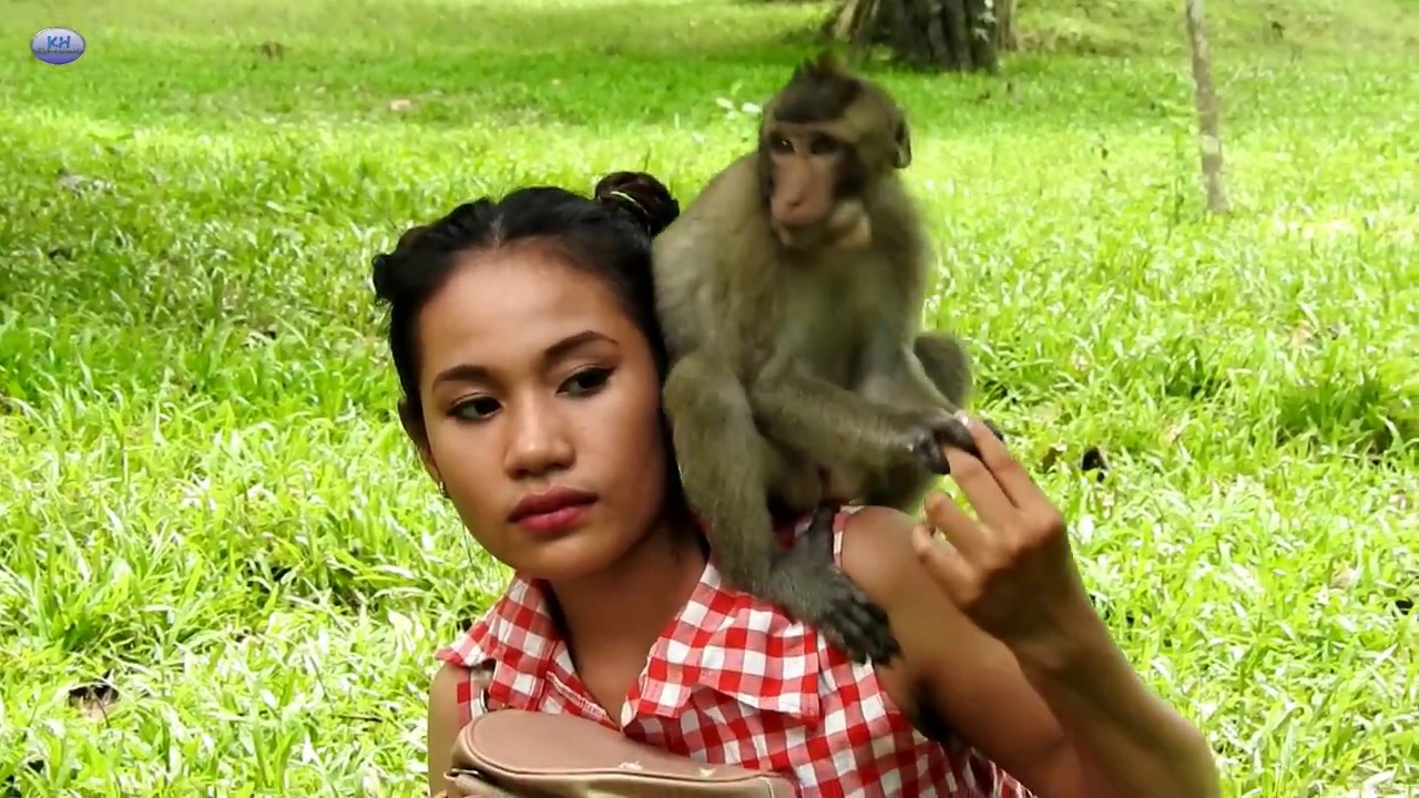 wow! amazing pretty girl meeting funny joking monkeys at bayon temple ...