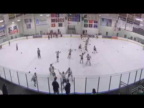 Valley Forge Minutemen AYHL Playoff Winning Goal - YouTube