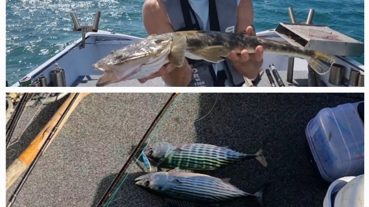 Bagged out fishing - YouTube