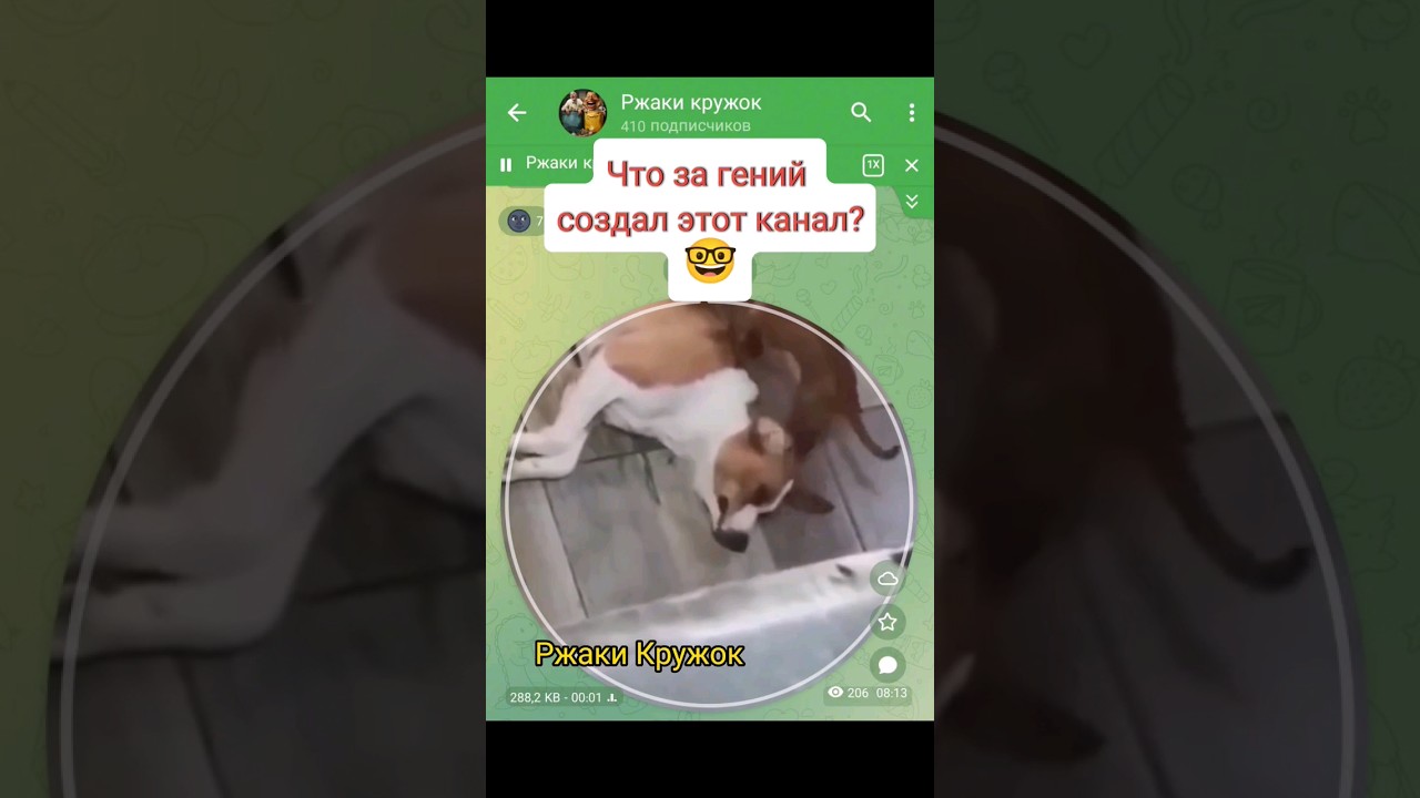 Странные кружки - YouTube
