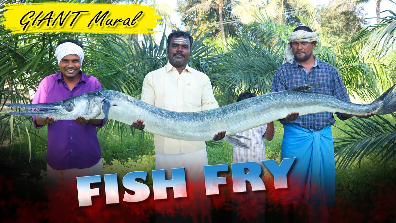 சுவையான GIANT MURAL FISH FRY | GARFISH Cooking in Village | Fish Fry ...