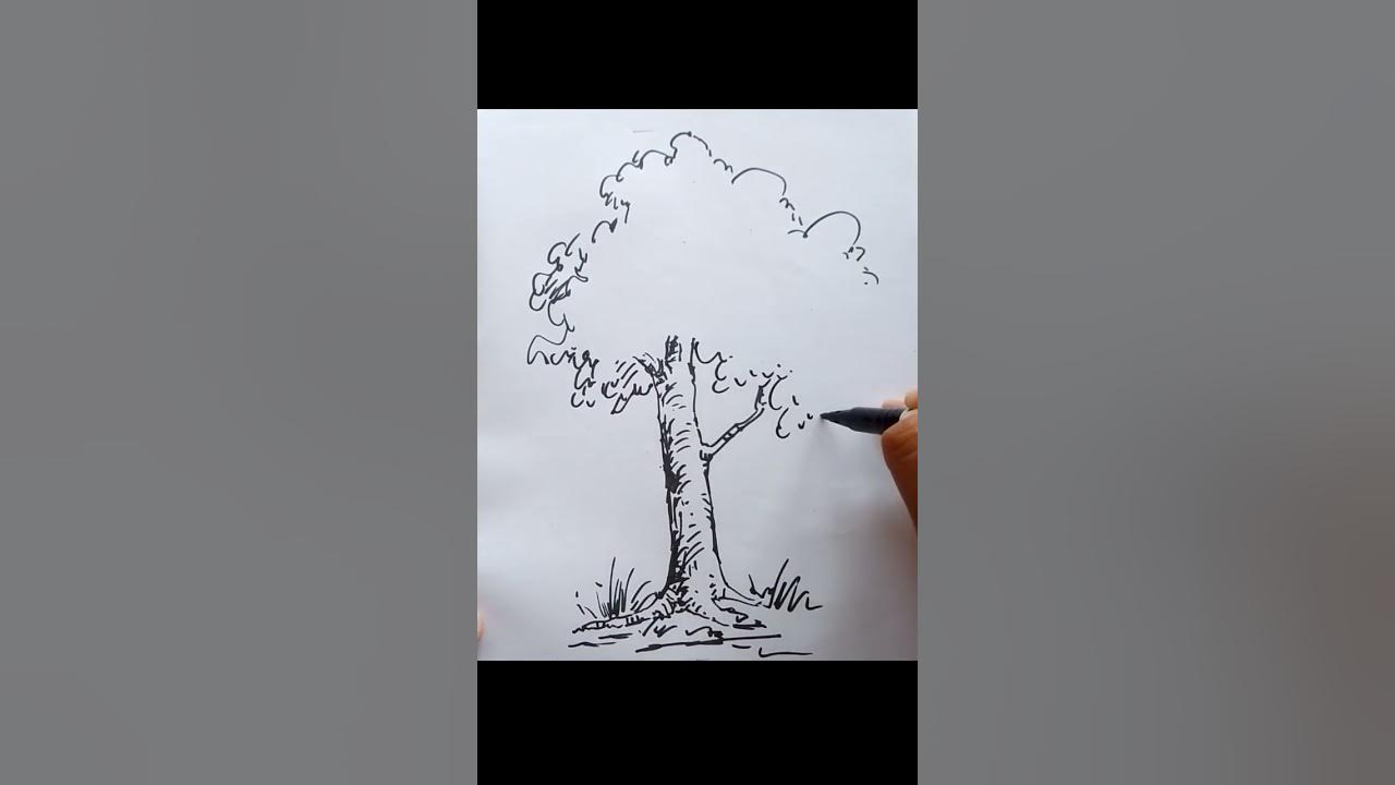 how to draw a tree. part -3.কিভাবে একটি গাছ আঁকতে হয়। - YouTube