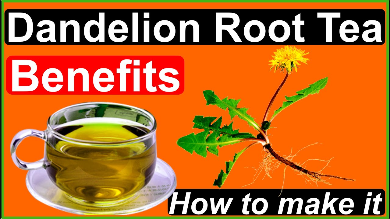 Discover Dandelion Root Tea Health Benefits | Herbal Elixir - YouTube