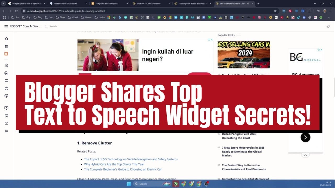 Expert-160 (Noob) Blogger Shares Top Text to Speech Widget Secrets ...