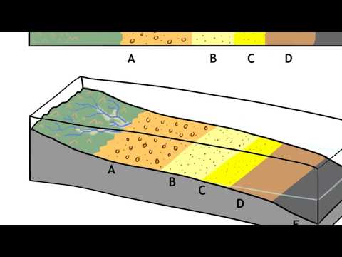 Walther's ideas about sedimentary facies