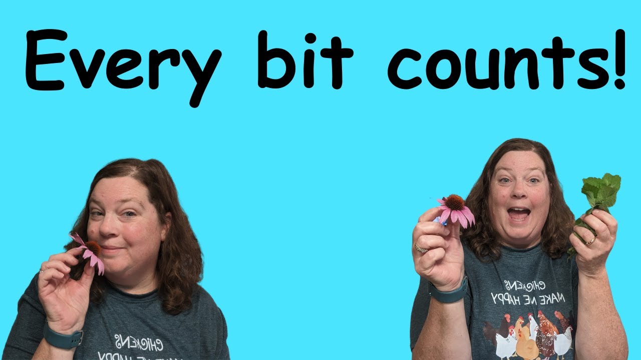 Every bit counts days 2 and 3 #everybitcountschallenge #preserve # ...