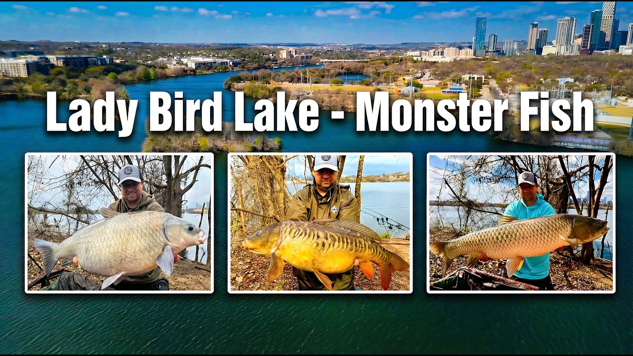 Lady Bird Lake - Fishing For Monster Carp, Buffalo & Catfish - YouTube