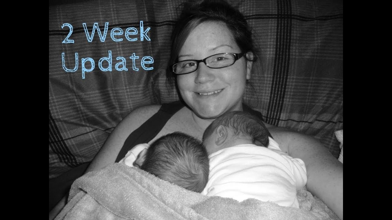 Twin Update - 2 Weeks - YouTube