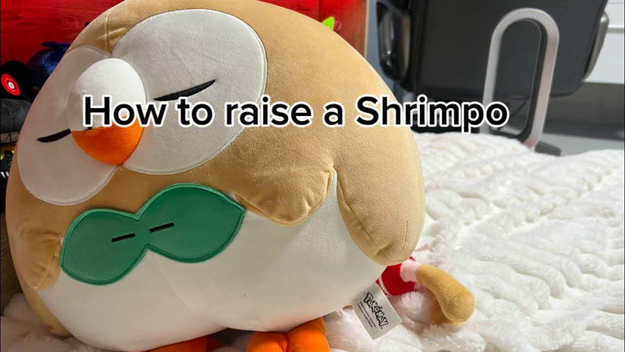 How to raise a Shrimpo :) - YouTube
