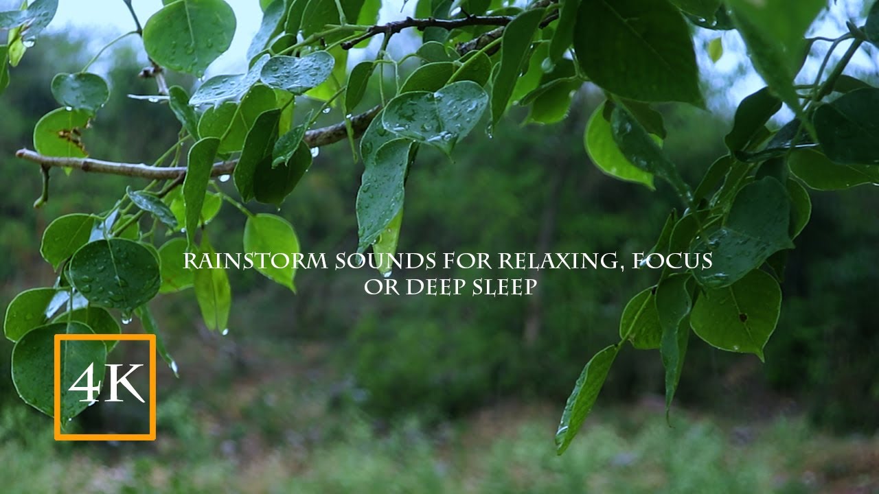 Falling heavy rain | Sounds for Relaxing and Sleep | 4 minutes video ...
