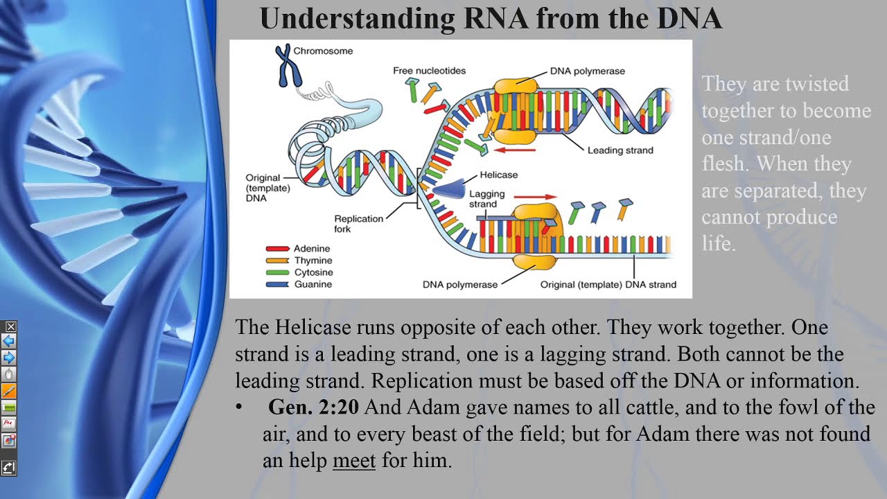 The DNA of the Scriptures Is in you (part 3) - YouTube