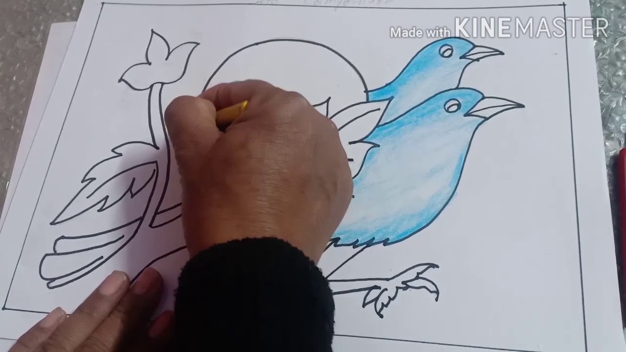 Class 6, bird composition ( colouring part) - YouTube