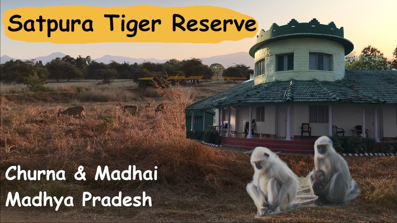 Satpura Tiger Reserve Safari, Churna, And Madhai, Madhya Pradesh, India ...