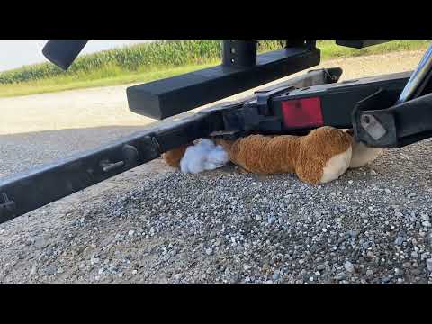 Stuffed teddy bear gets crushed and destroyed - YouTube