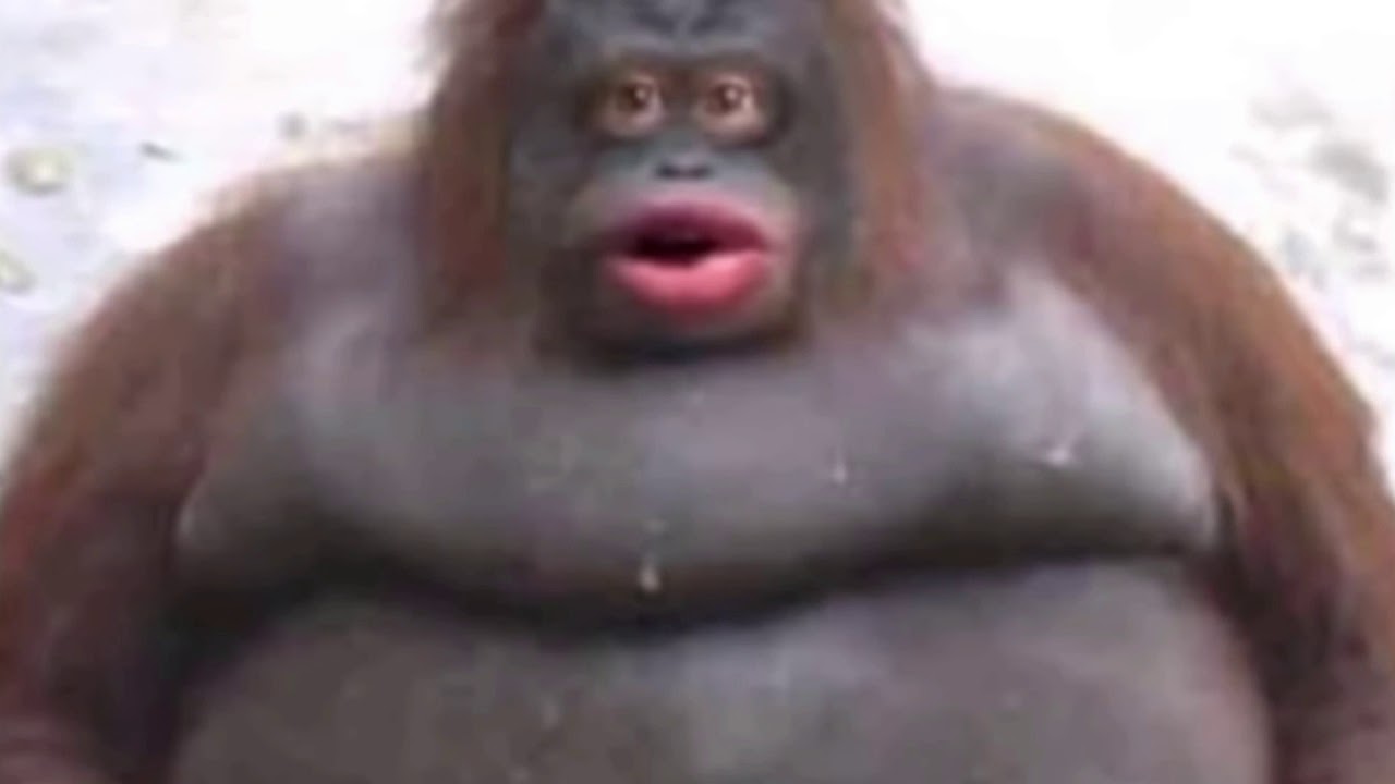 uh oh stinky meme - YouTube