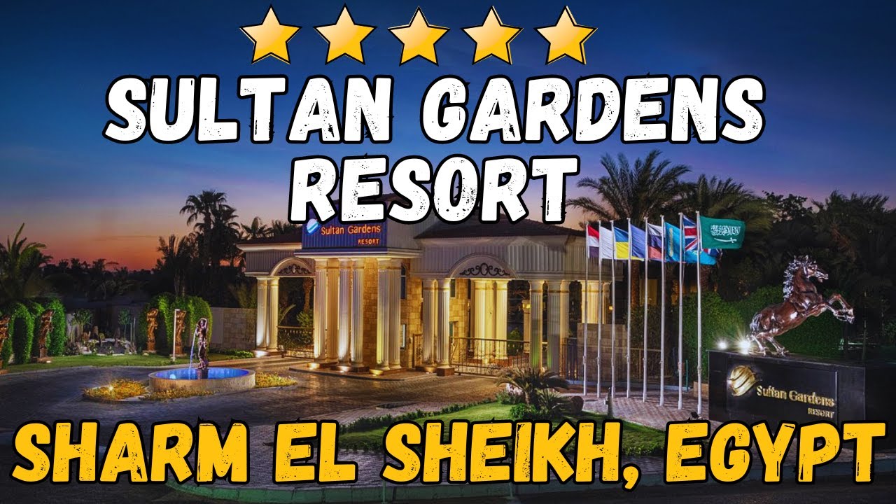 Sultan Gardens Resort Review: Luxury in Sharm El Sheikh, Egypt - YouTube