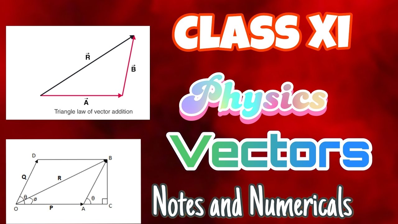 Vectors | Notes and Numericals Solution| Physics | Class 11 | - YouTube