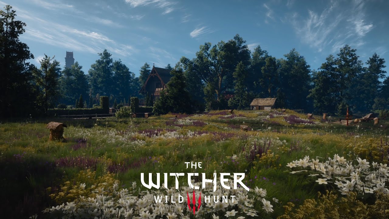 Meditate in a Wildflower Field - The Witcher 3 | Wind Sounds, Gentle ...