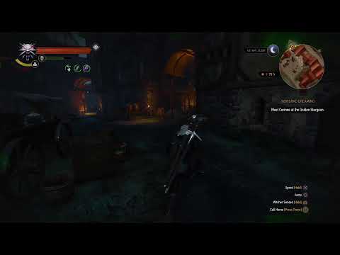 Kai Lee presents Witcher 3 Wild Hunt