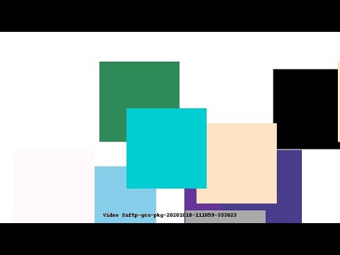 Video #sftp-gcs-pkg-20201018-111059-333023